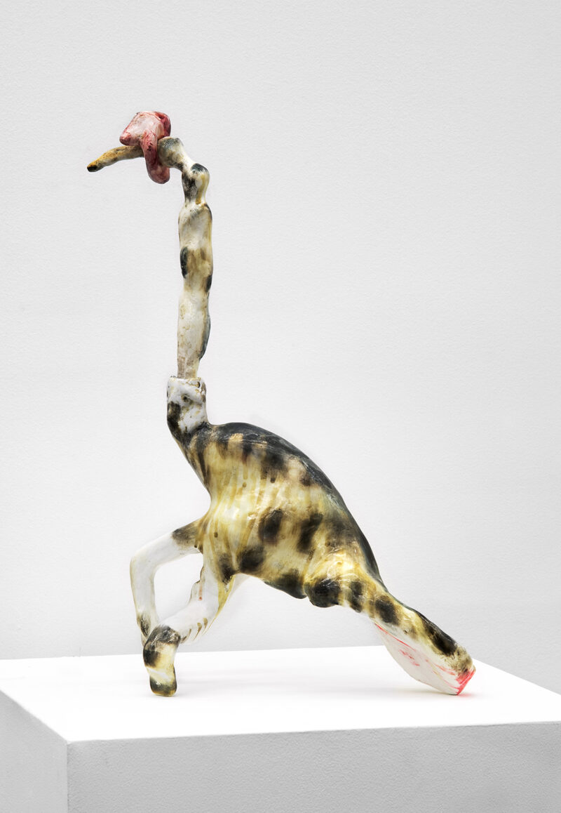 Carla Grunauer - Piedras Galería